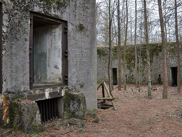 Mamerki - Wirtualny przewodnik turystyczny - navtur.pl