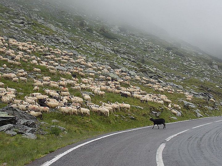Trasa Transfogarska - Wirtualny przewodnik turystyczny - navtur.pl